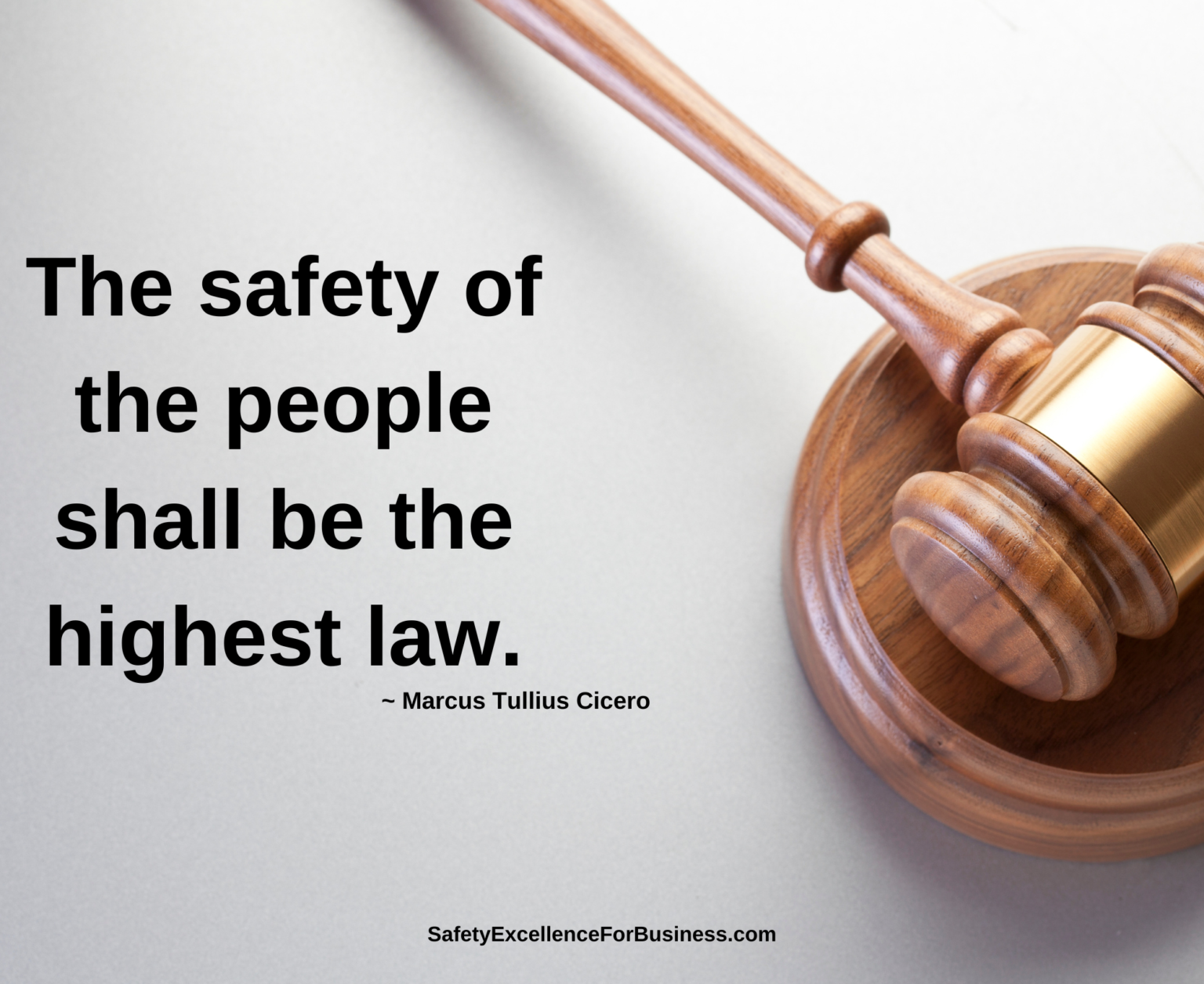 safety practitioners | Safety Excellence For Business